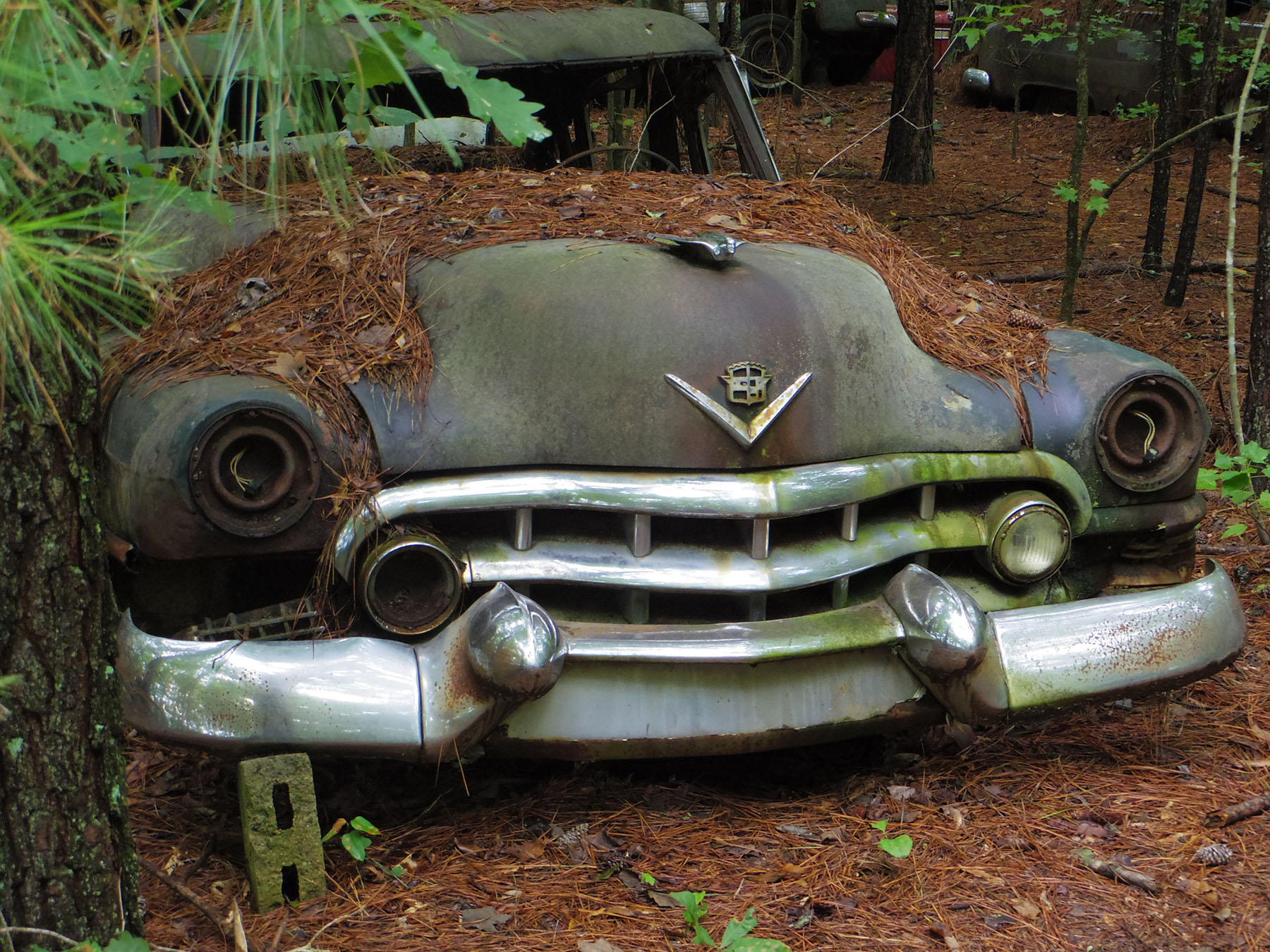 Volume 11 | Trailer Park Quarterly